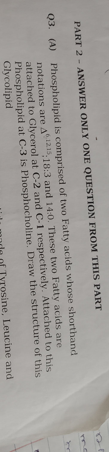Q3. (A) Phospholipid is comprised of two | StudyX