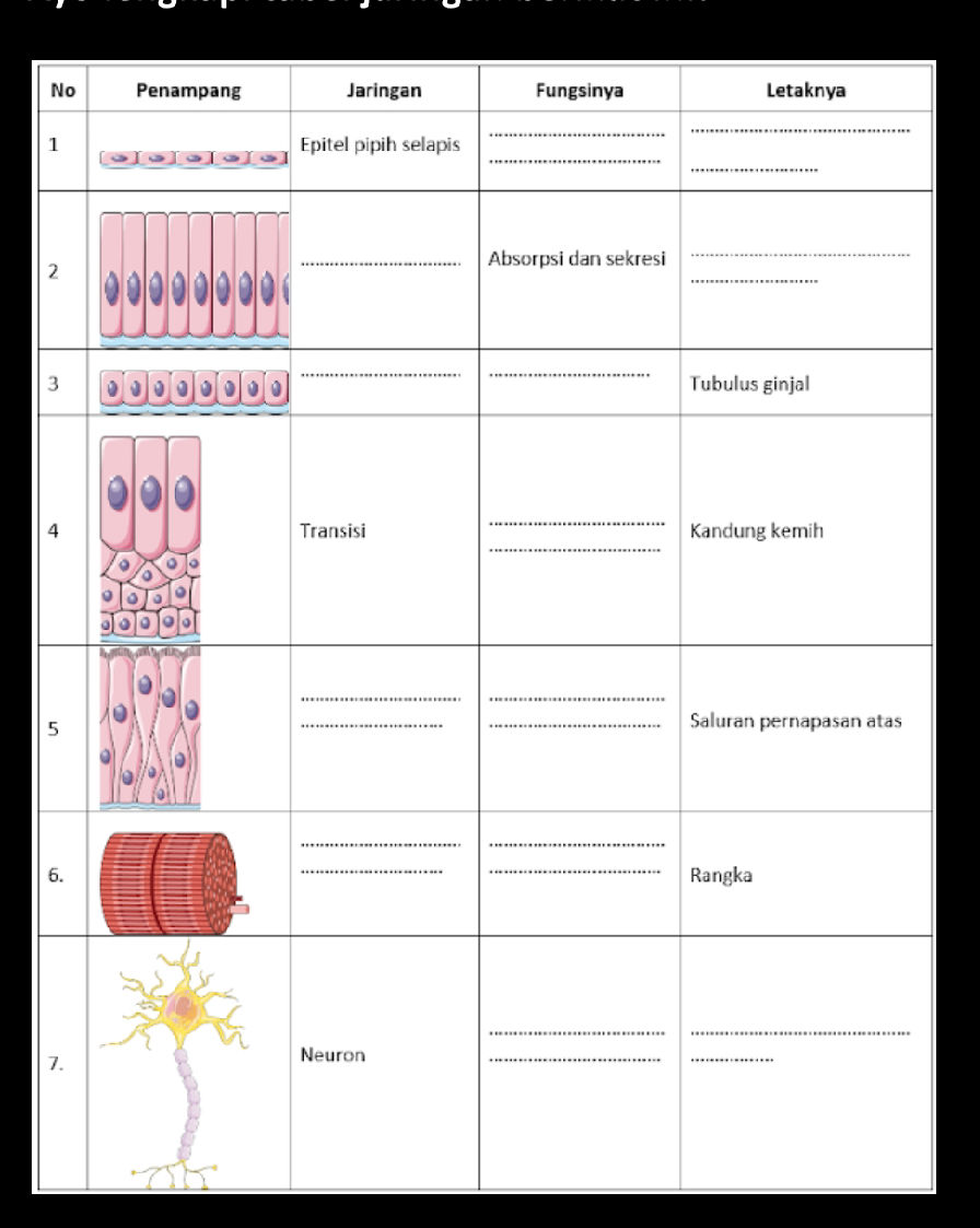 Lengkapi tabel berikut mengenai jaringan | StudyX