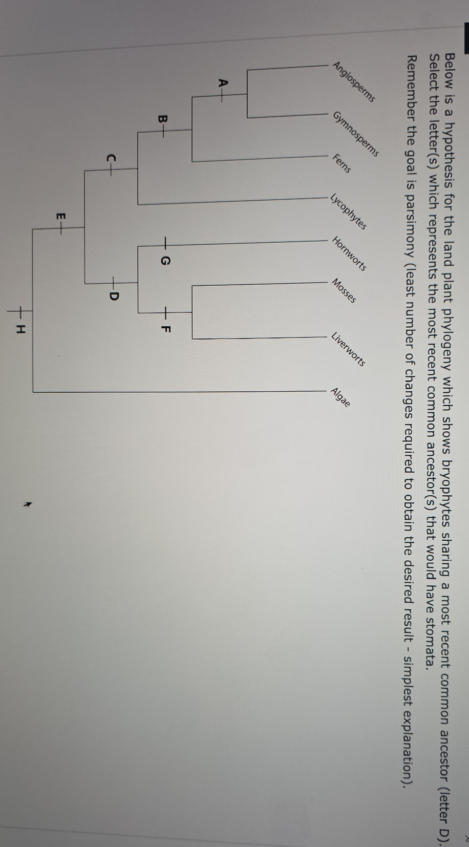 Below is a hypothesis for the land plant | StudyX