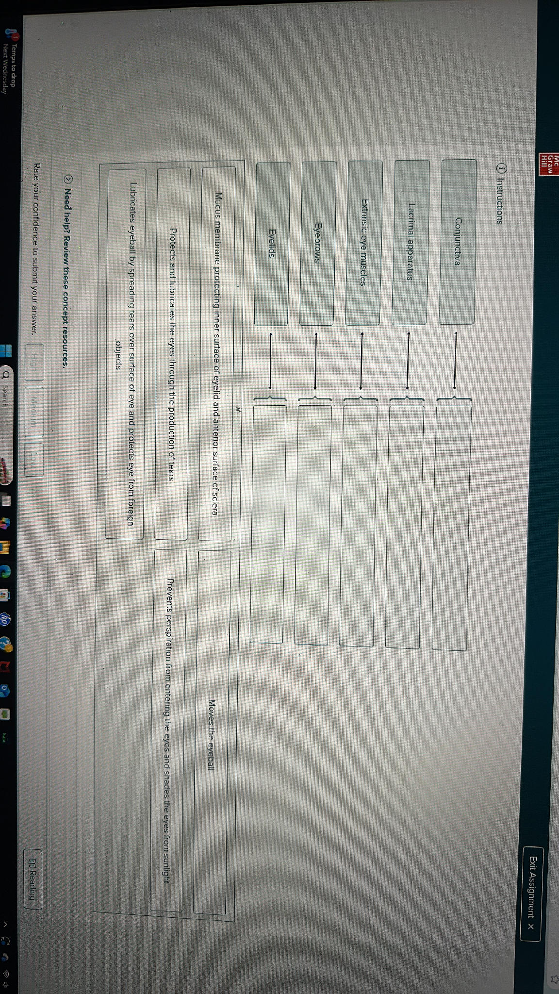 Match the following structures of the | StudyX