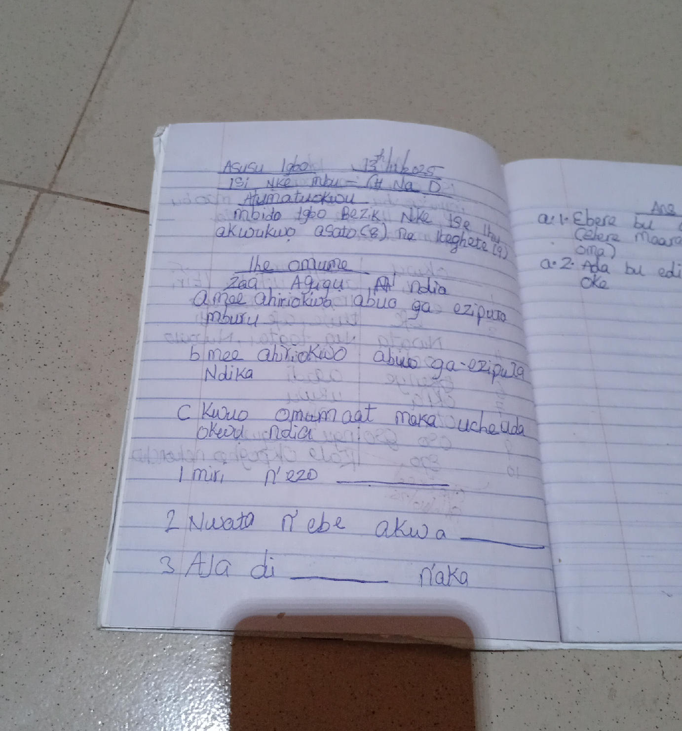 Asusu Igbo Isi Nke mbu- H Na D Atumatuckou | StudyX