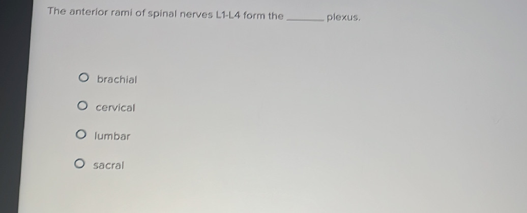 The anterior rami of spinal nerves L1-L4 | StudyX