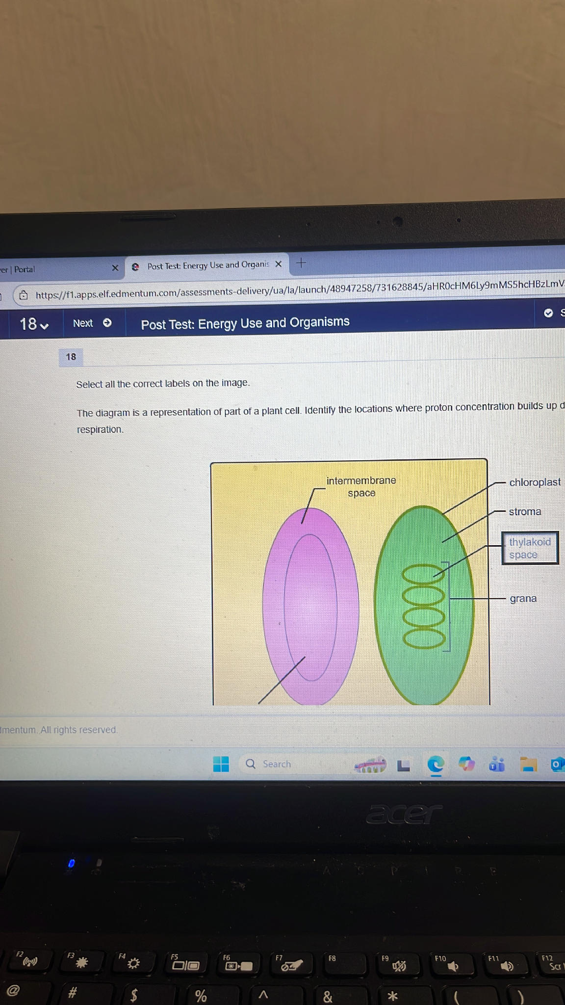 Select all the correct labels on the image. | StudyX