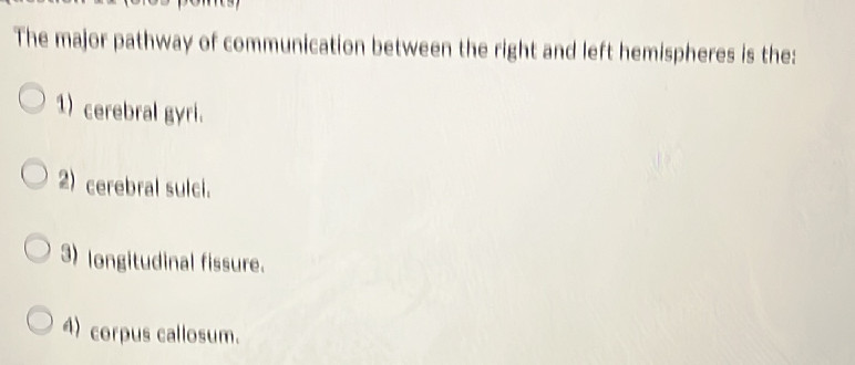 The major pathway of communication between | StudyX