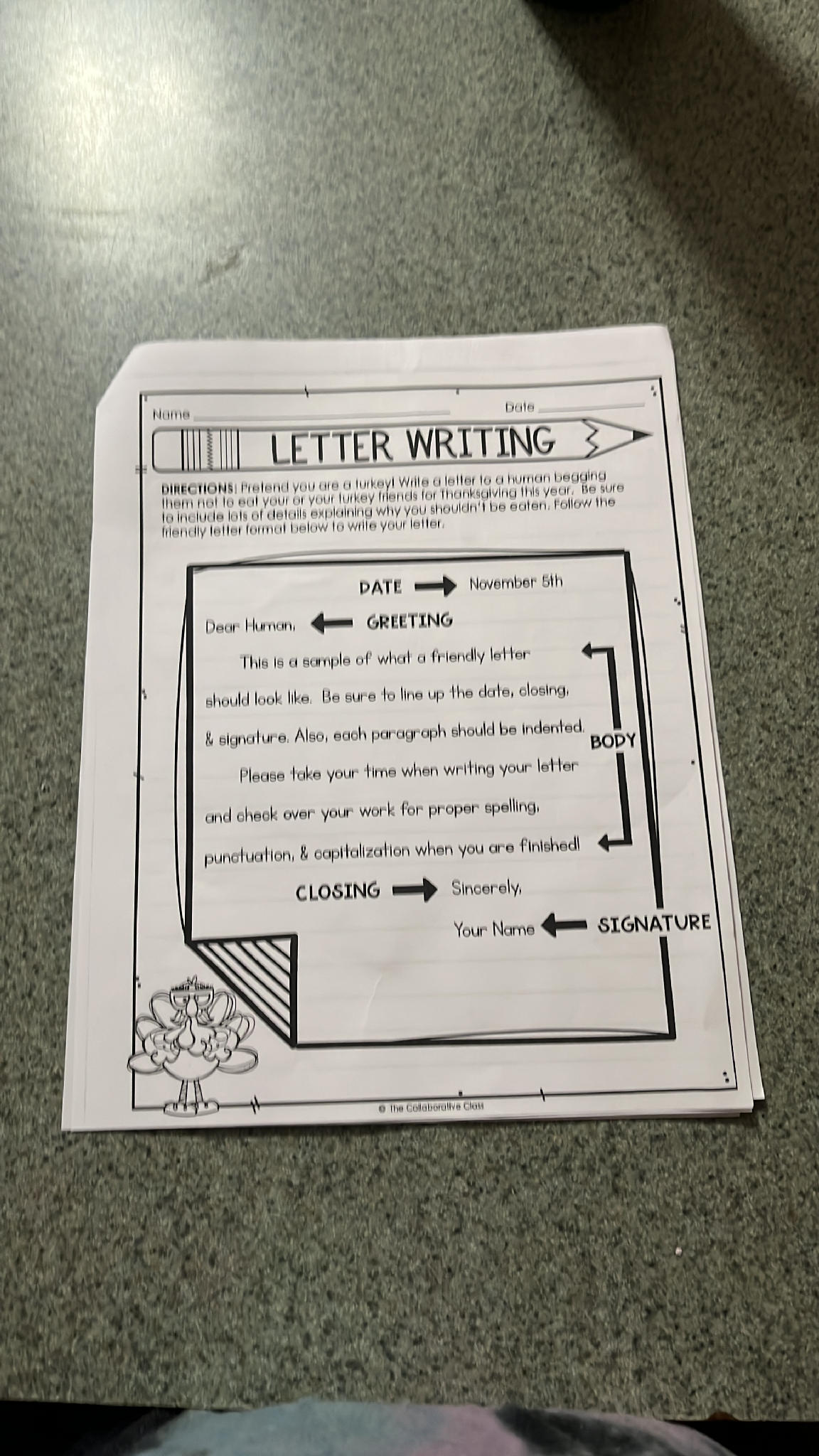 DIRECTIONS: Pretend you are a turkey! Write | StudyX