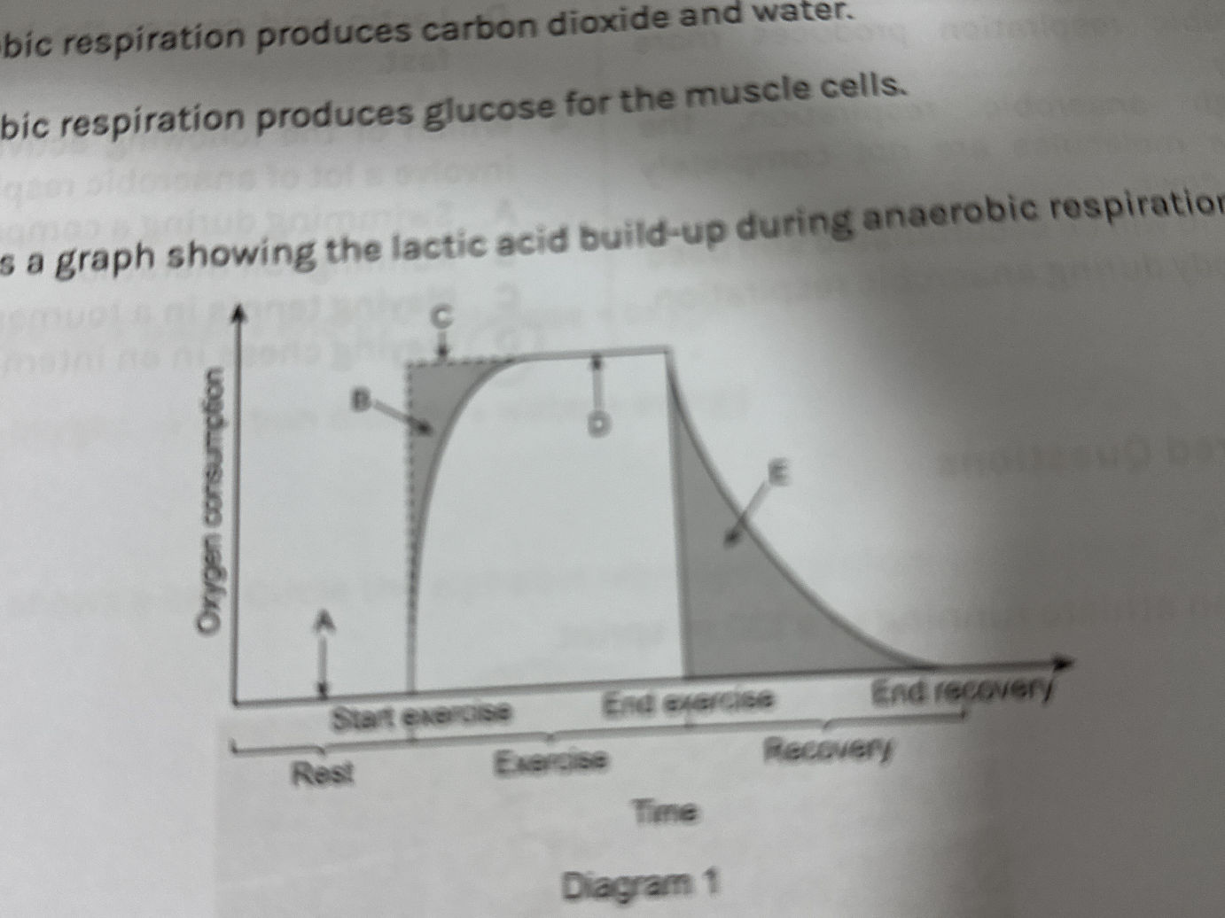 Aerobic respiration produces carbon dioxide | StudyX