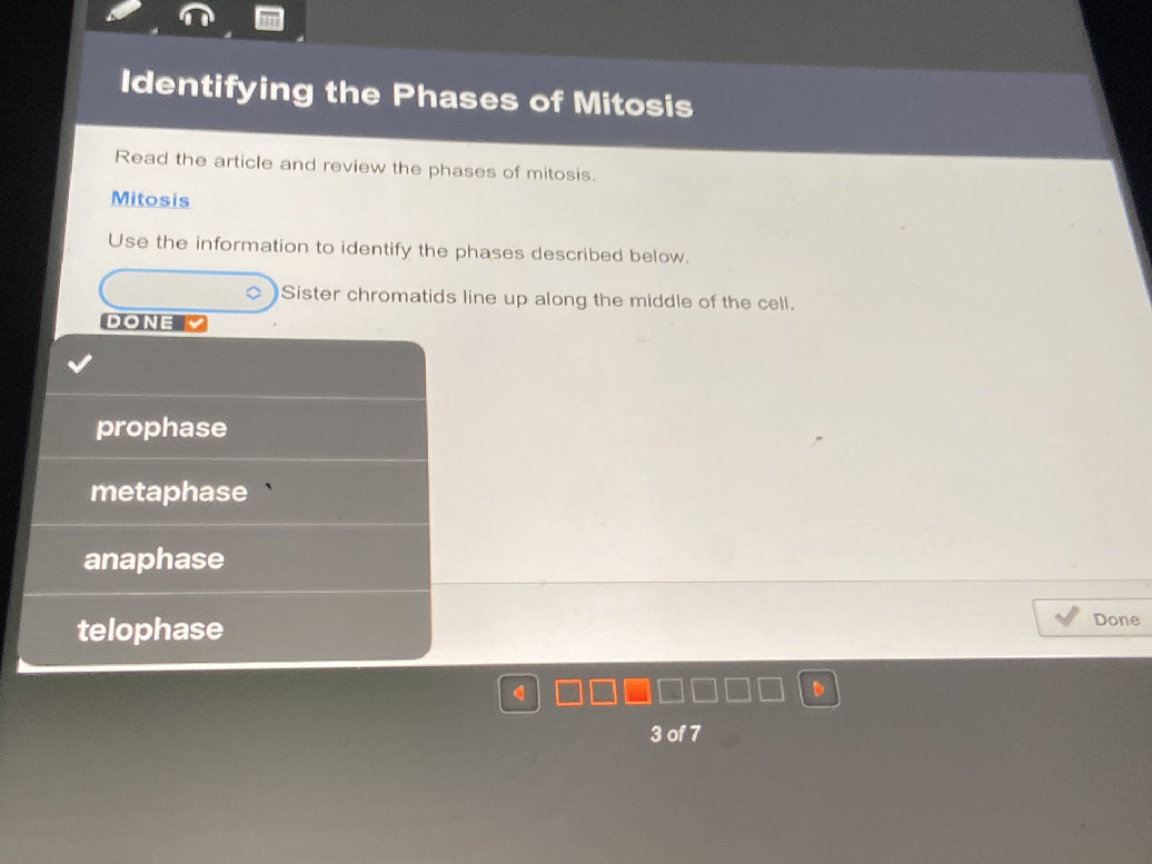 Identifying the Phases of Mitosis Read the | StudyX