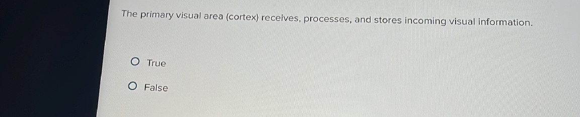 The primary visual area (cortex) receives, | StudyX