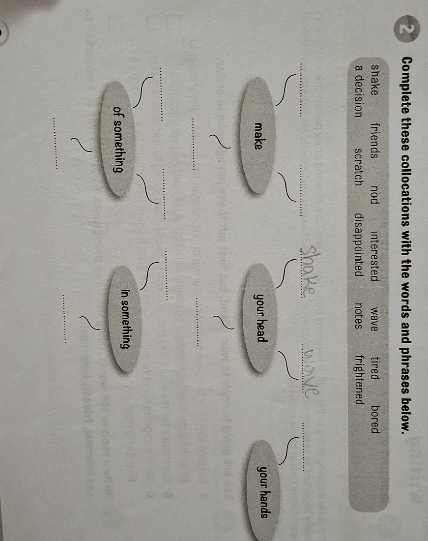 Complete these collocations with the words | StudyX