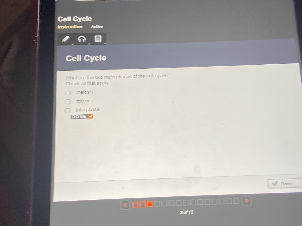 What are the two main phases of the cell | StudyX