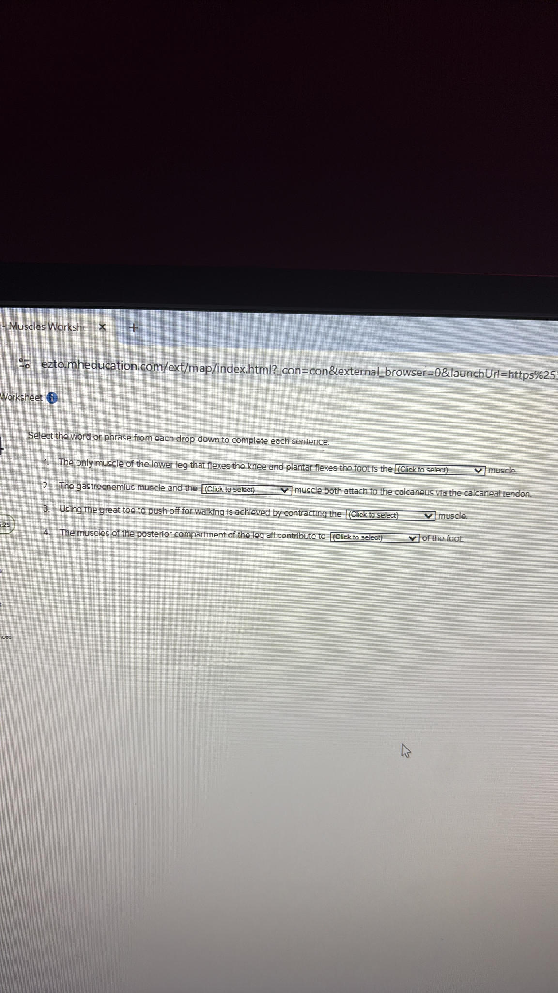Select the word or phrase from each | StudyX