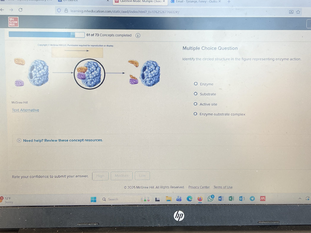 Multiple Choice Question Identify the | StudyX