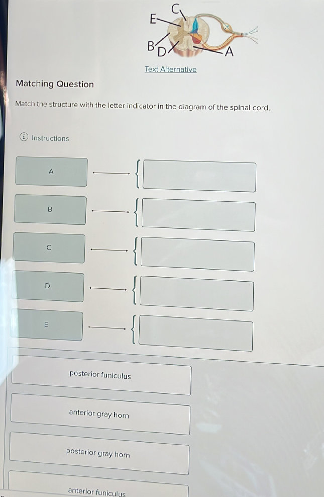 Matching Question Match the structure with | StudyX