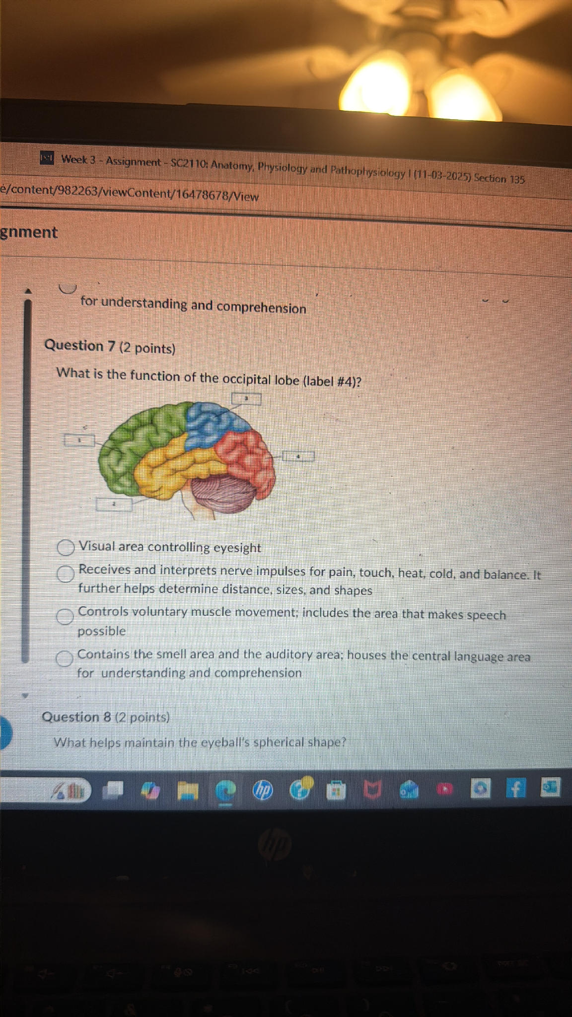 Question 7 (2 points) What is the function | StudyX