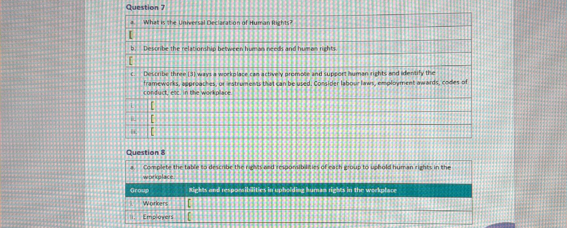 a. What is the Universal Declaration of | StudyX