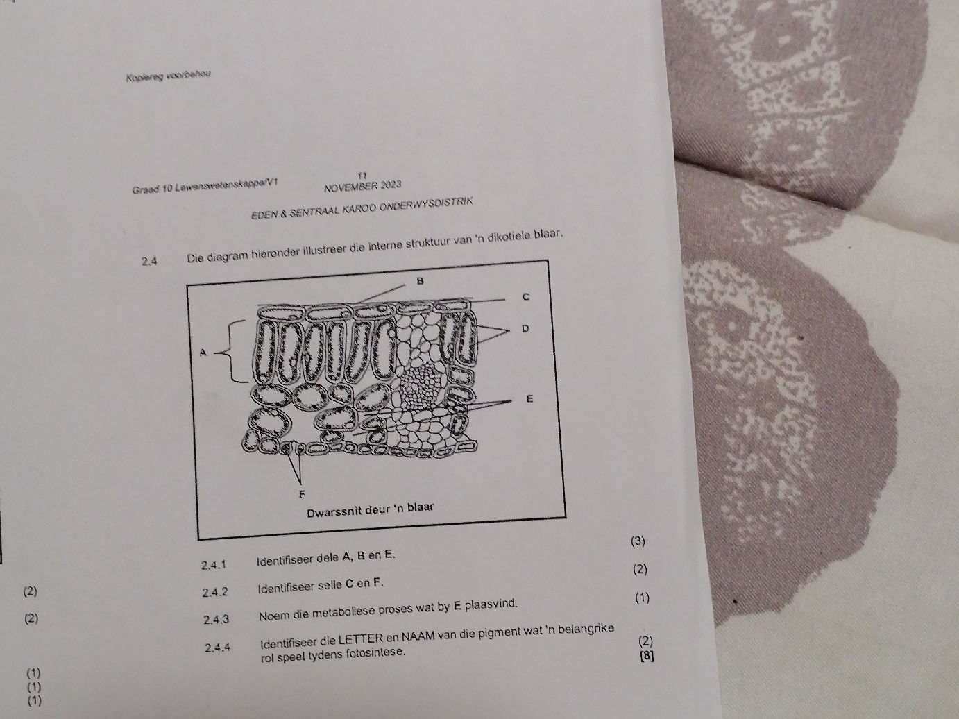 Graad 10 Lewenswetenskappe/V1 11 NOVEMBER | StudyX