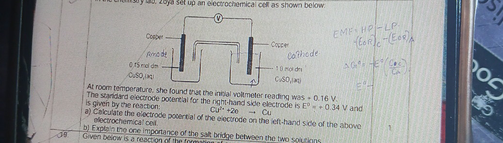 Zoya set up an electrochemical cell as shown | StudyX