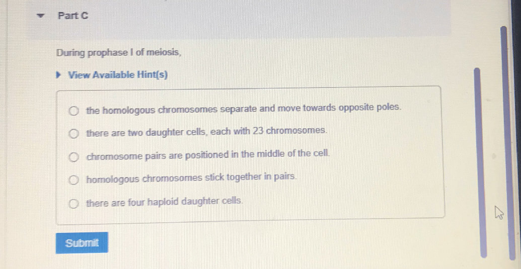During prophase I of meiosis, the | StudyX
