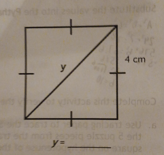 The image shows a square divided into two | StudyX