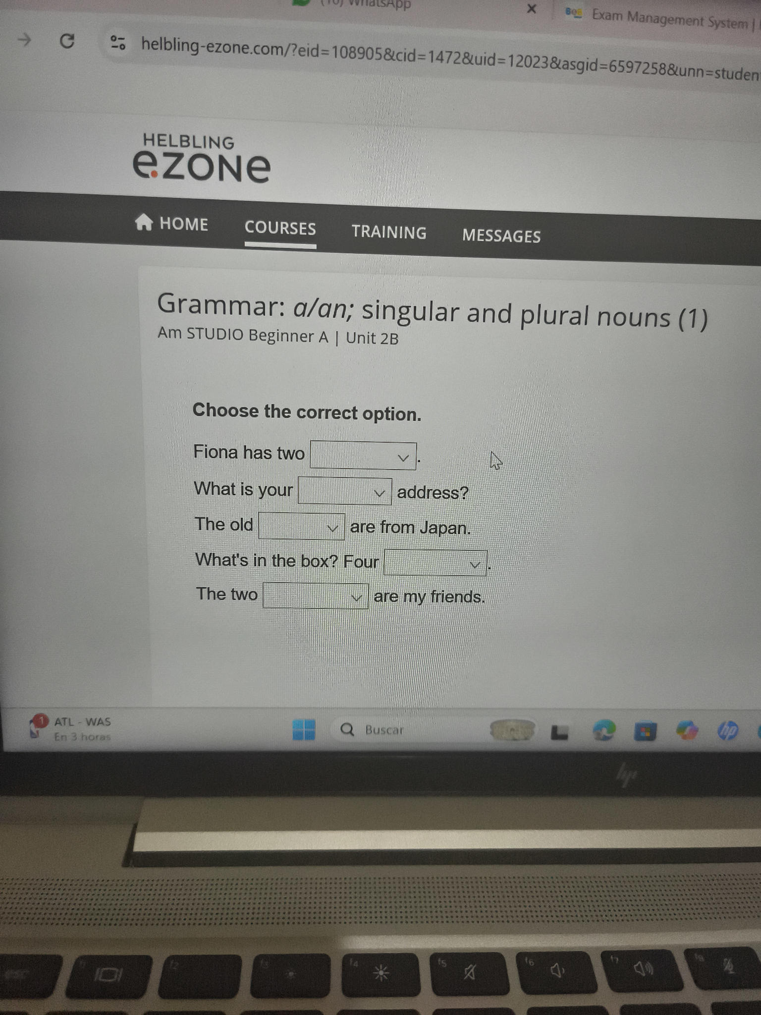 Grammar: a/an; singular and plural nouns (1) | StudyX