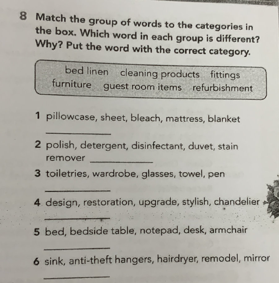 Match the group of words to the categories | StudyX