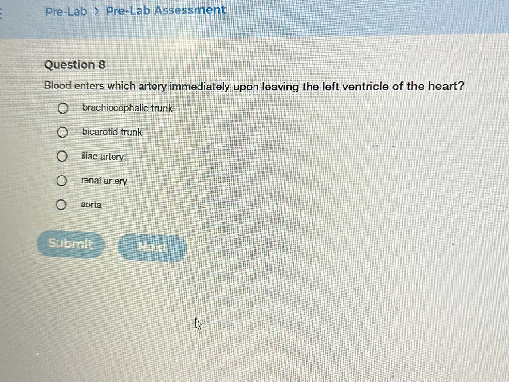 Blood enters which artery immediately upon | StudyX