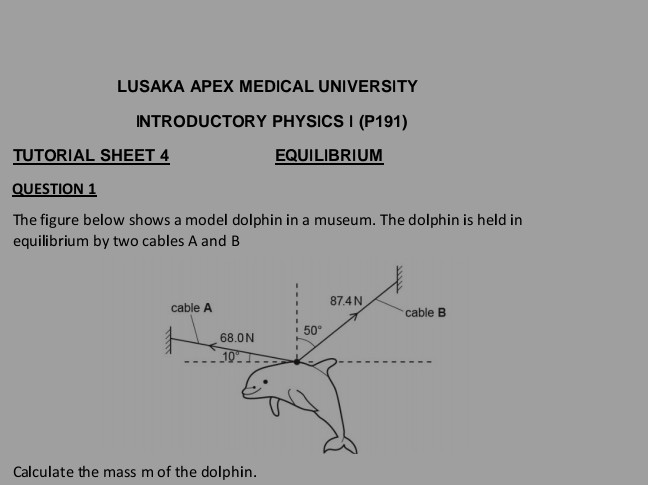 LUSAKA APEX MEDICAL UNIVERSITY INTRODUCTORY | StudyX