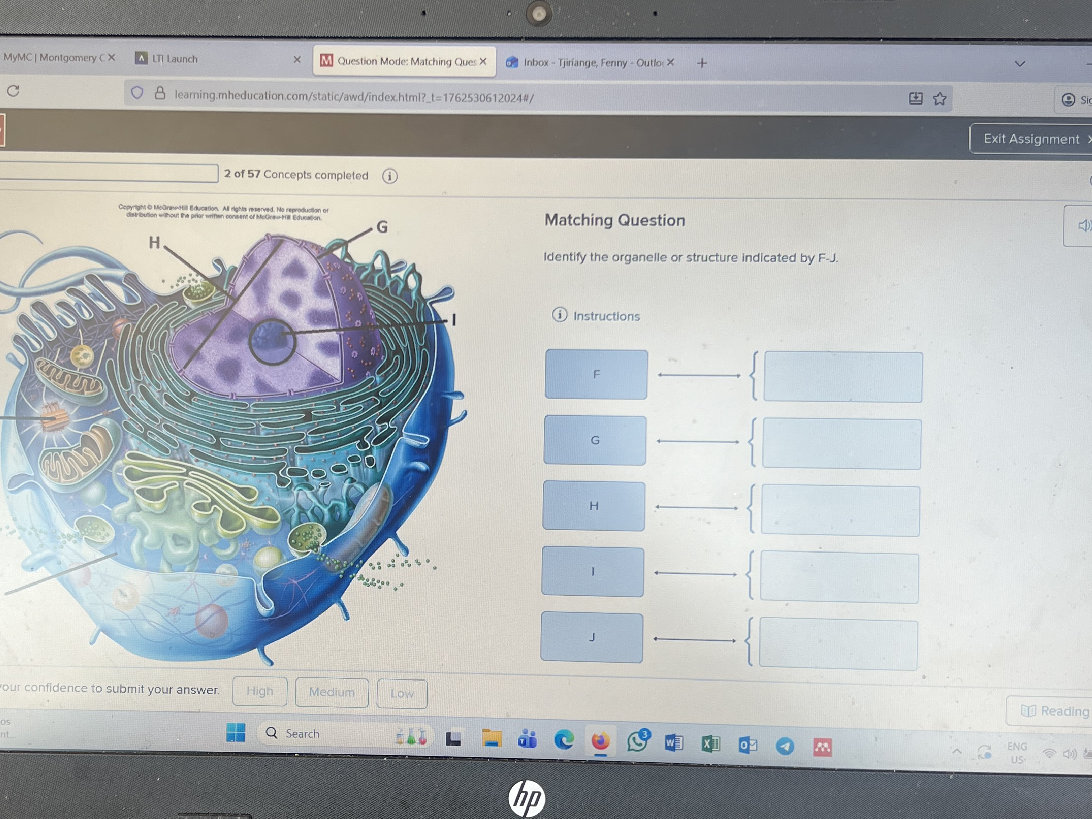 Matching Question Identify the organelle or | StudyX