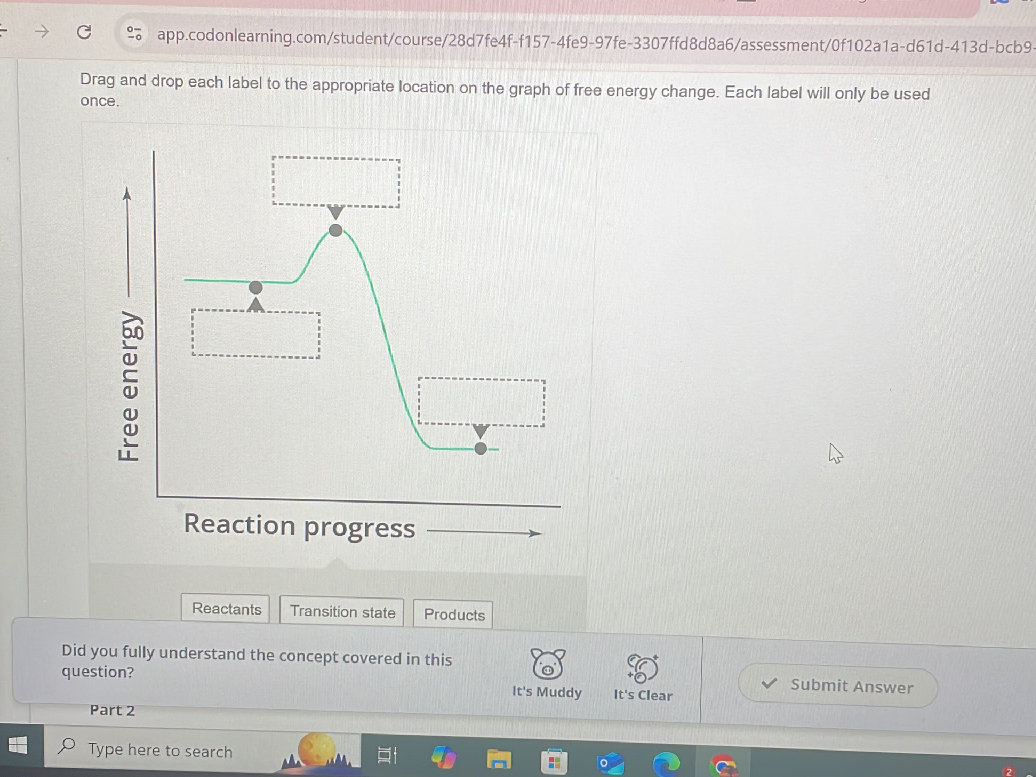Drag and drop each label to the appropriate | StudyX