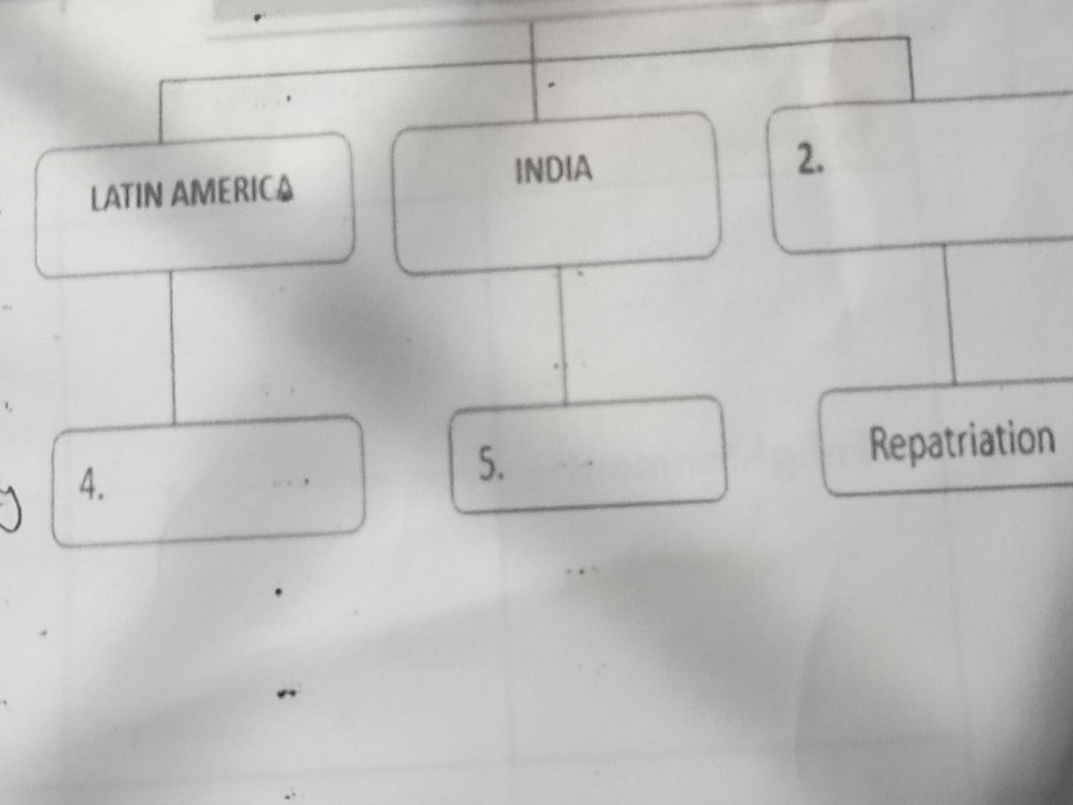 Complete the concept map below. The map | StudyX