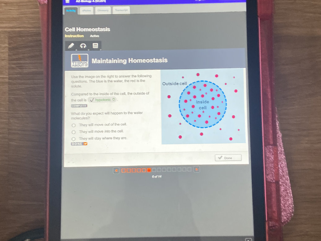 Cell Homeostasis: Maintaining Homeostasis | StudyX