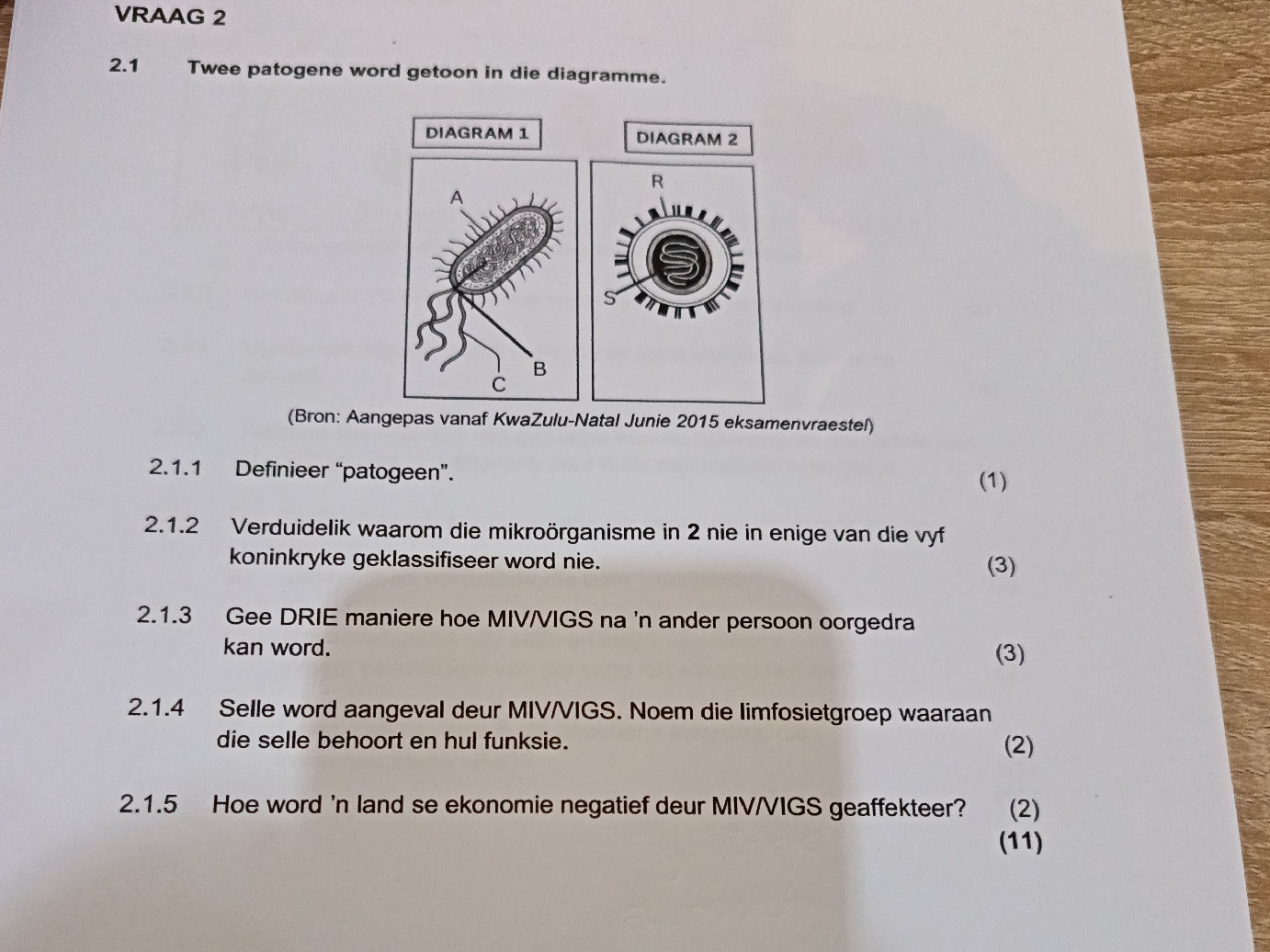 Twee patogene word getoon in die diagramme. | StudyX