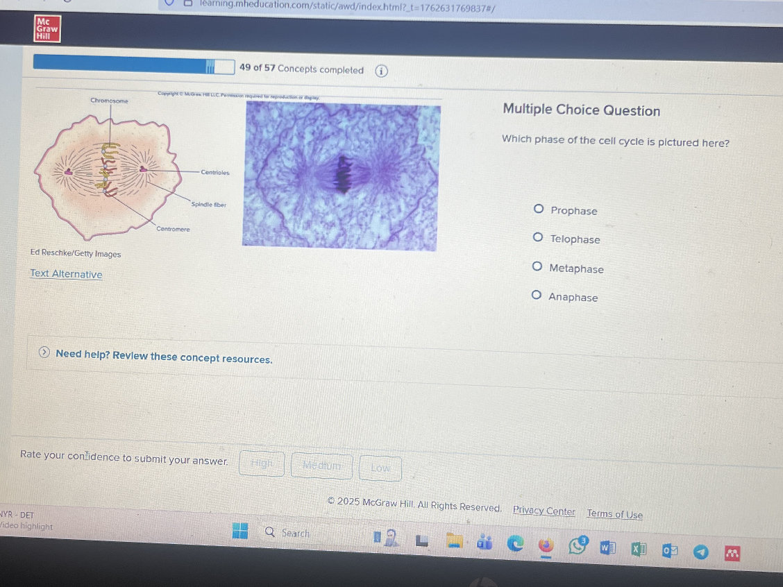 Multiple Choice Question Which phase of the | StudyX