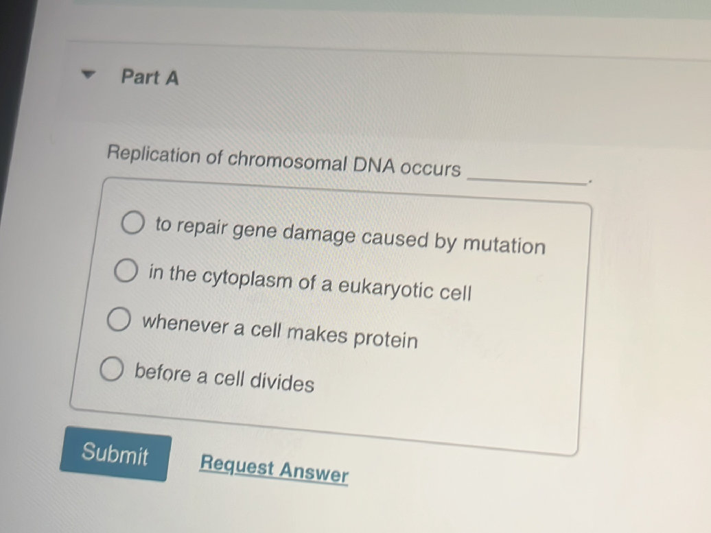 Replication of chromosomal DNA occurs | StudyX