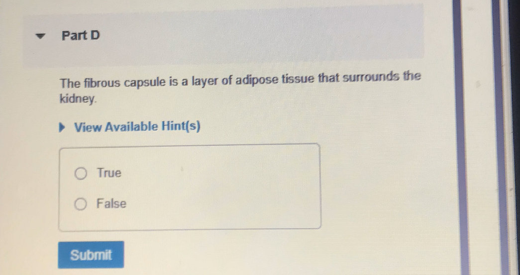 Part D The fibrous capsule is a layer of | StudyX