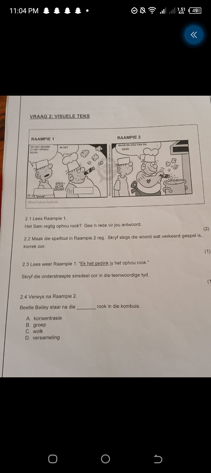 VRAAG 2: VISUELE TEKS RAAMPIE 1 [Cartoon | StudyX