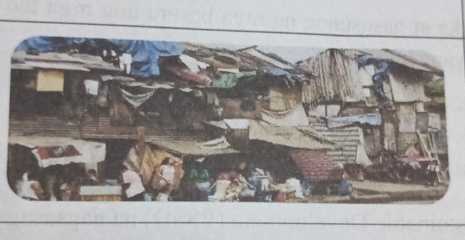 The image provided shows a densely populated | StudyX