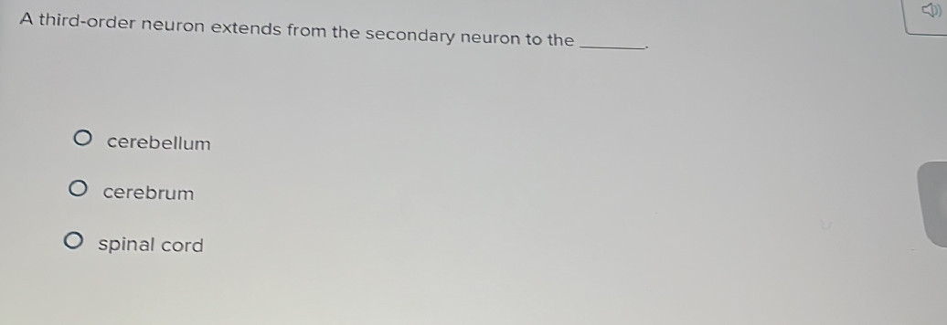 A third-order neuron extends from the | StudyX