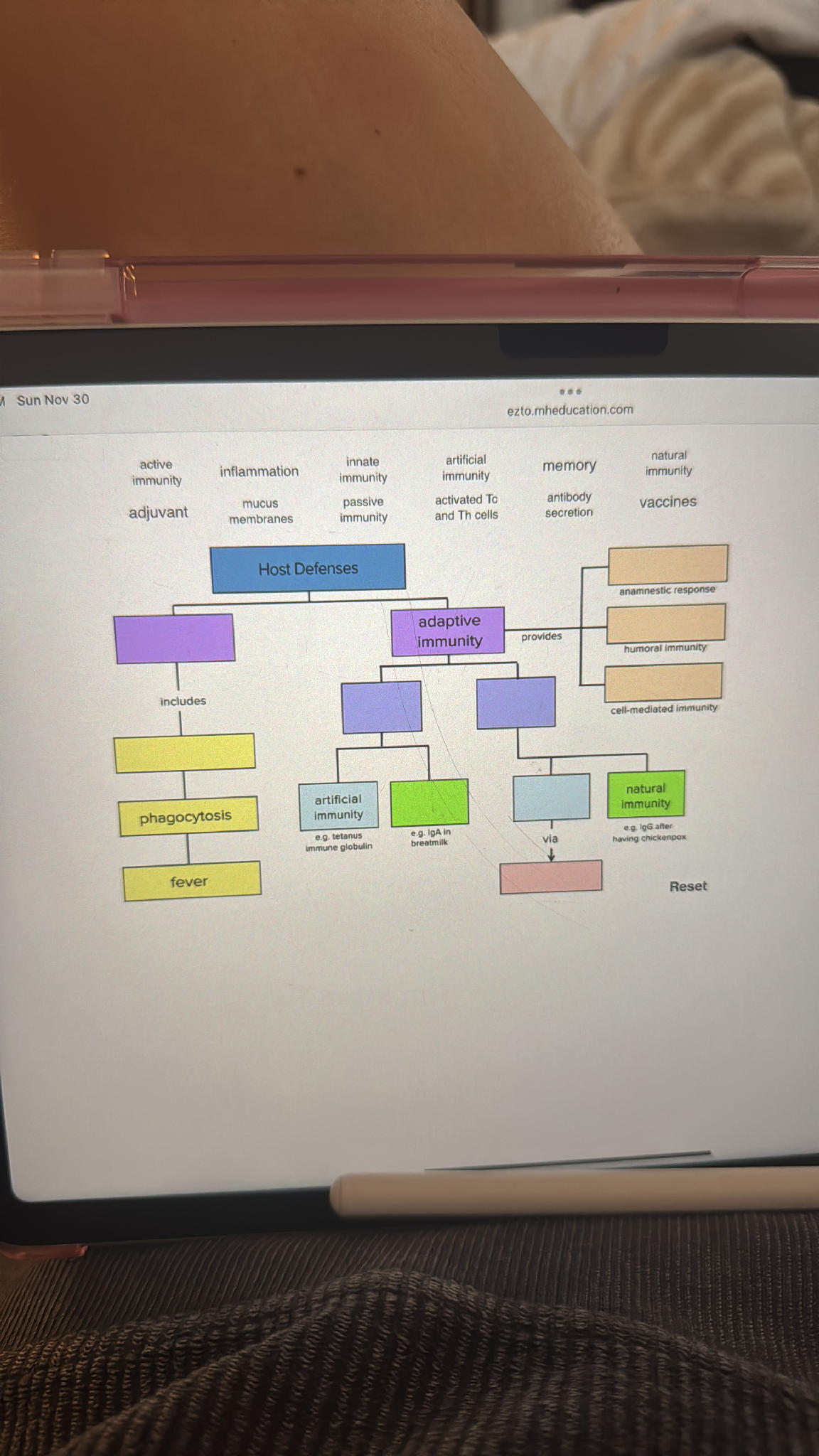 This image shows a concept map regarding | StudyX