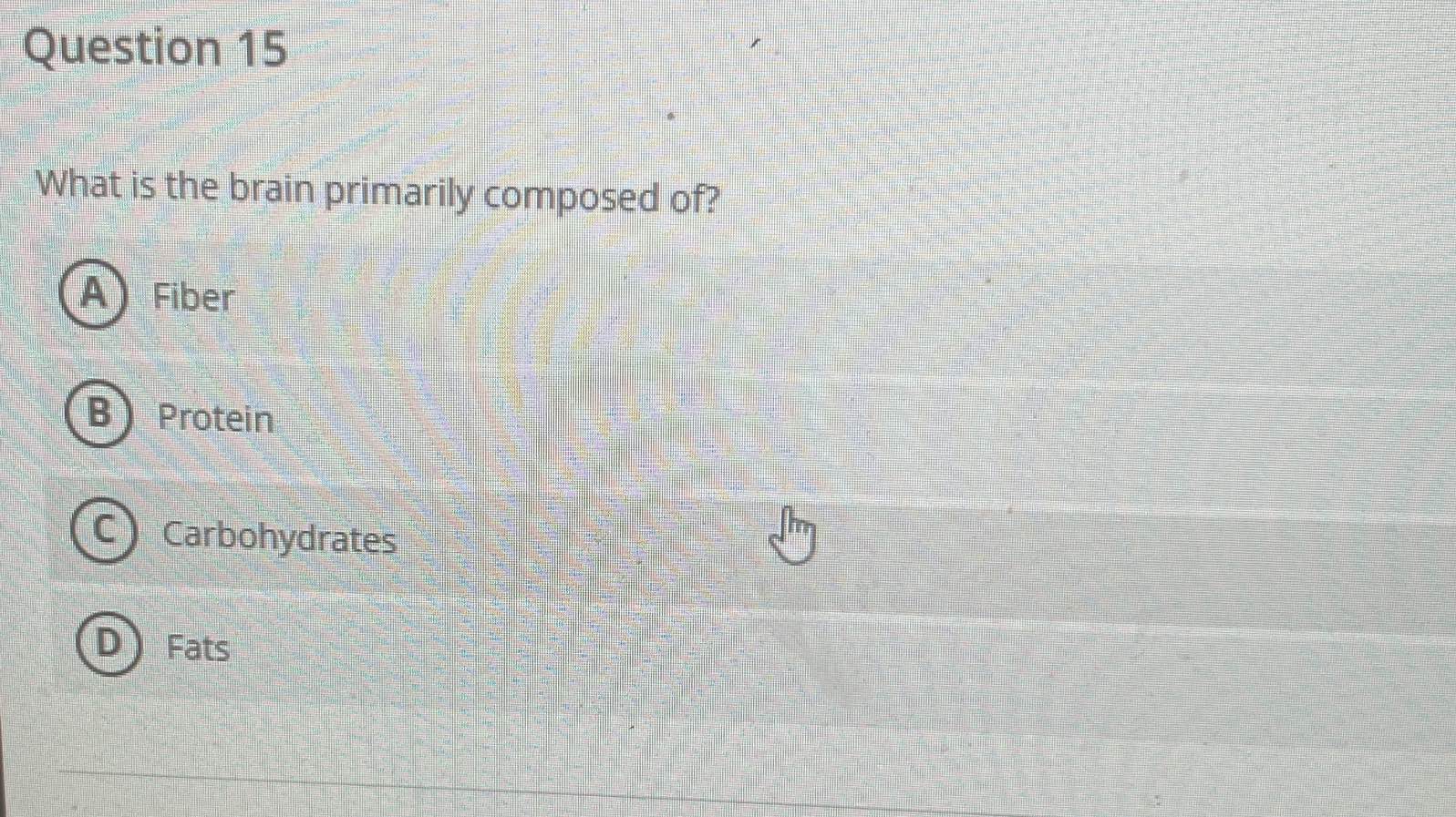 What is the brain primarily composed of? A) | StudyX
