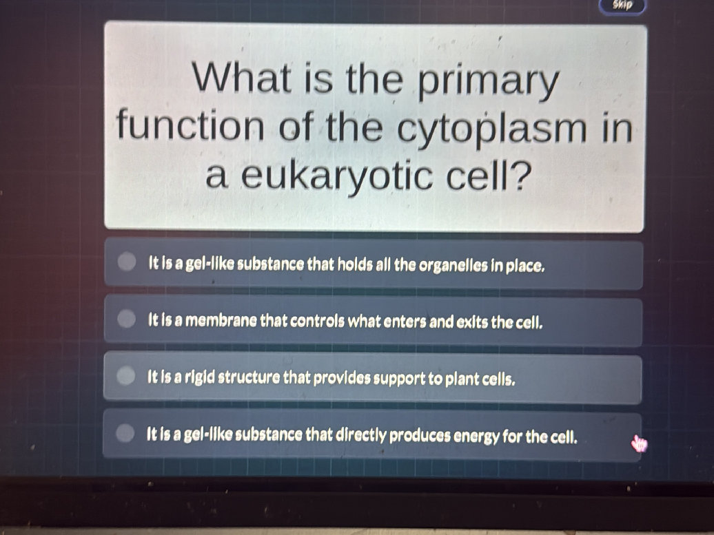 What is the primary function of the | StudyX