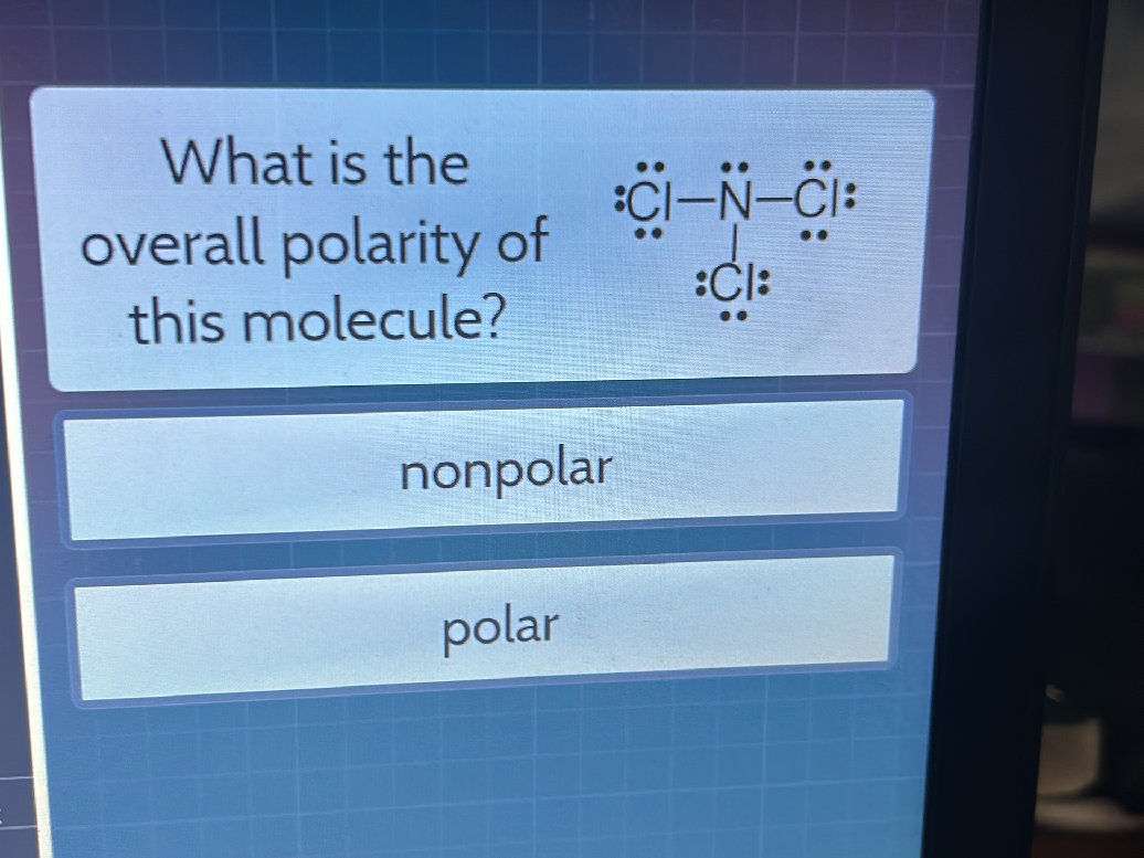 What is the overall polarity of this | StudyX