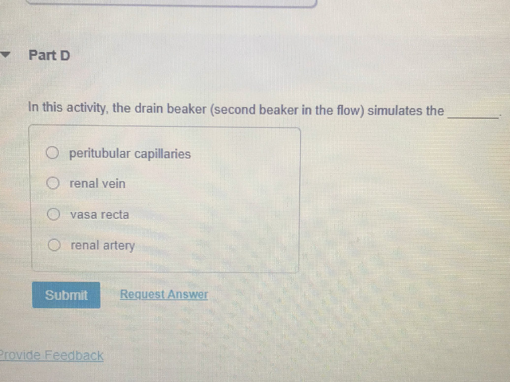 Part D In this activity, the drain beaker | StudyX