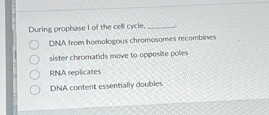During prophase I of the cell cycle, | StudyX