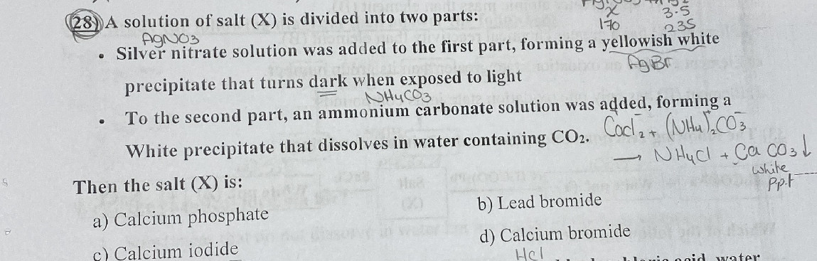 A solution of salt (X) is divided into two | StudyX