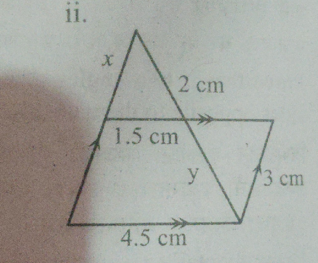 ii. [Diagram showing a large triangle | StudyX