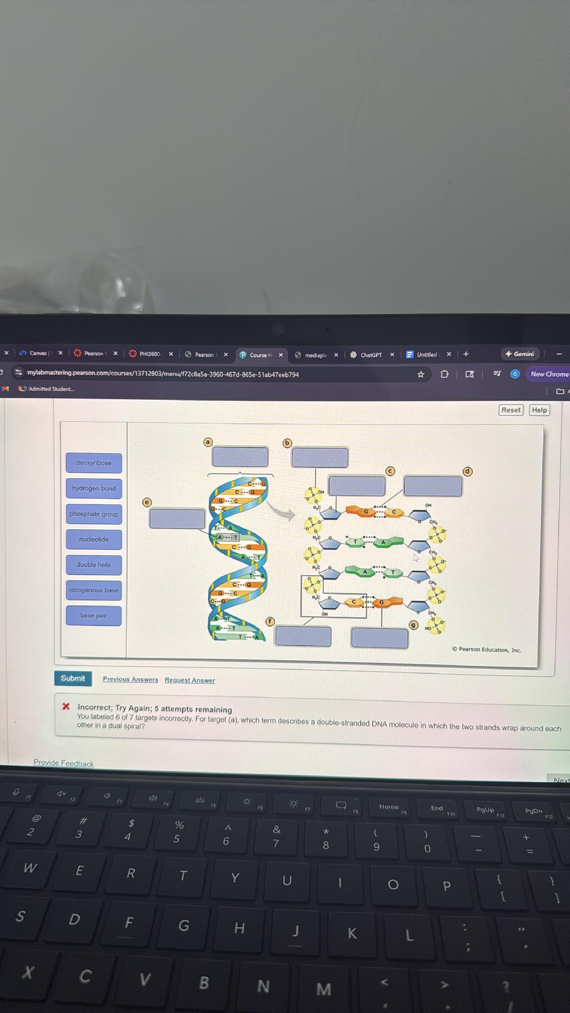 Identify the labeled structures (a) through | StudyX