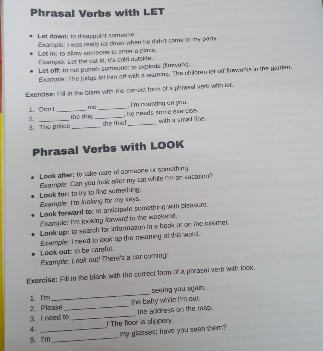 Phrasal Verbs with LOOK • Look after: to | StudyX
