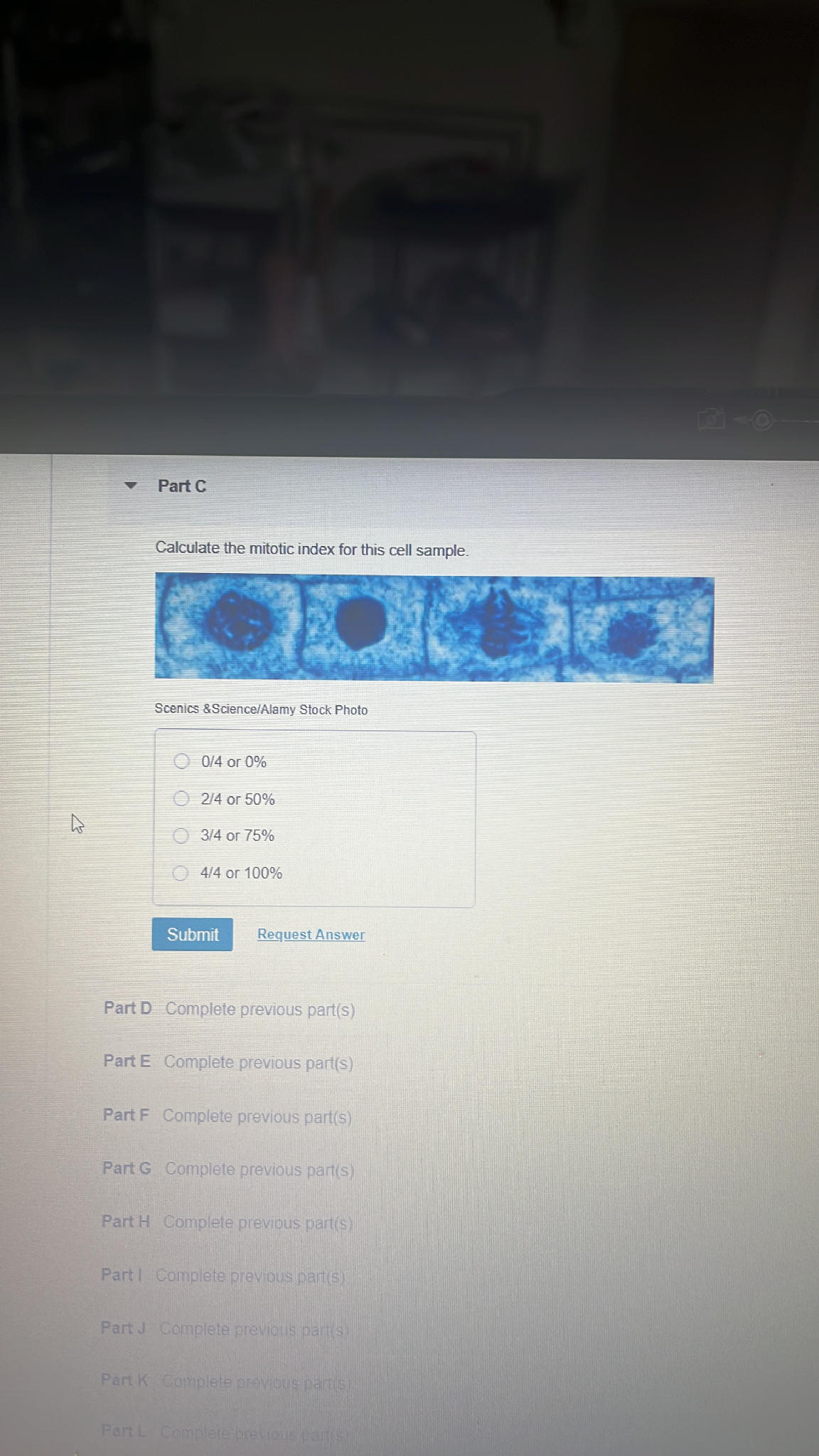 Calculate the mitotic index for this cell