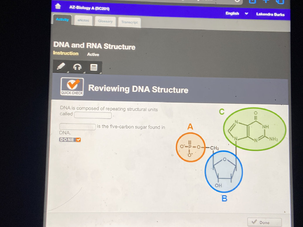 DNA is composed of repeating structural | StudyX